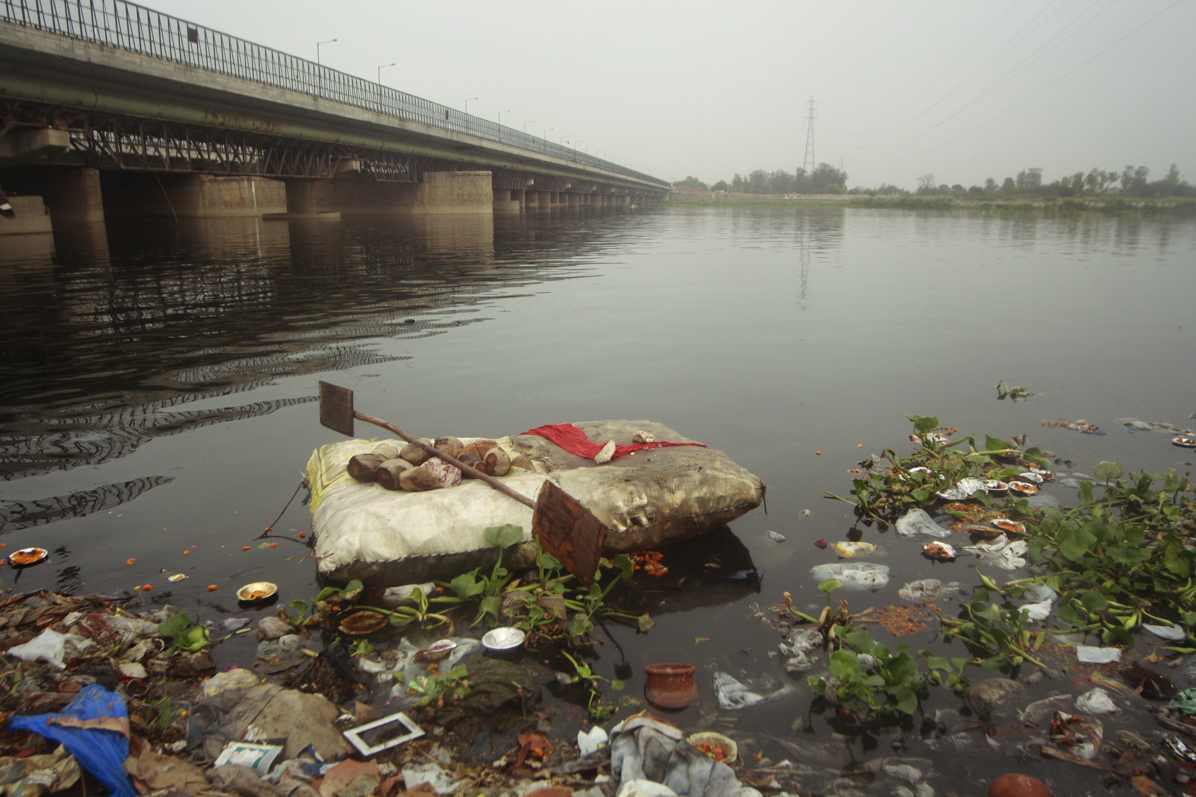 Following The Yamuna In Delhi: ‘For The Love Of A Dying River’ | Youth ...