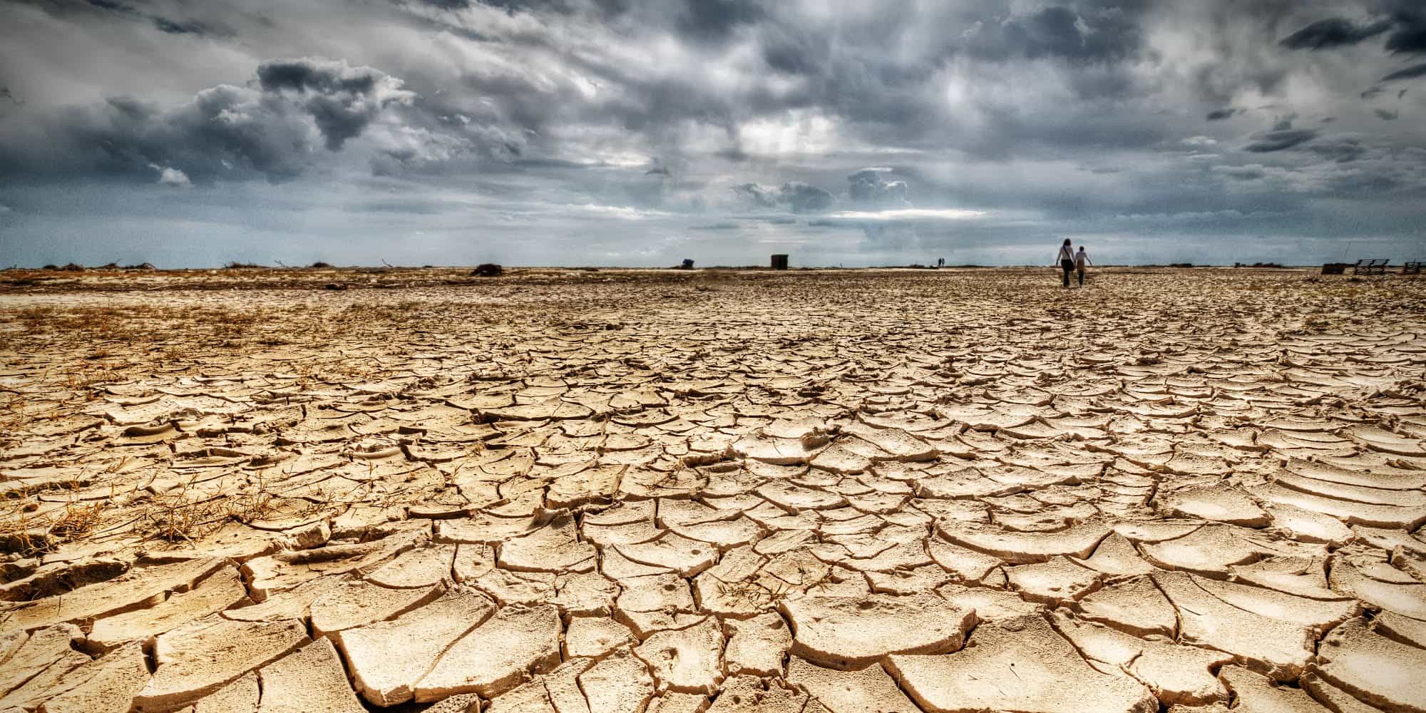 From Climatic Variations To Human Activities, Here Are 5 Major Causes ...