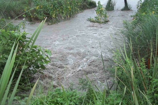 Damaged Sharda Canal Causes Flooding In Hardoi’s Several Villages ...