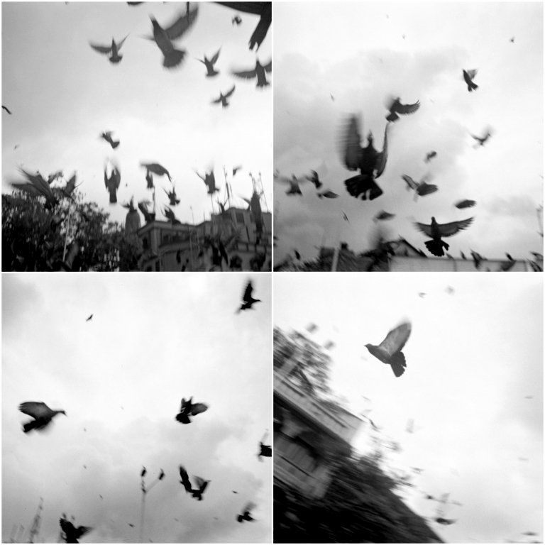 A Peek Into The Visual World Of Blind Photography In India – Hawkins ...