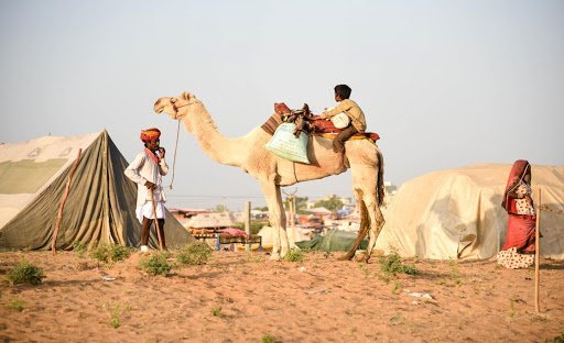Pushkar Mela: The Reality Of Camel-Herding Raika Tribe | Youth Ki Awaaz