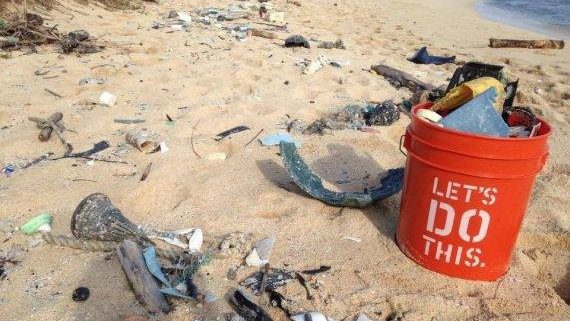 How Beach Cleaning Activities Help To Restore Marine Life