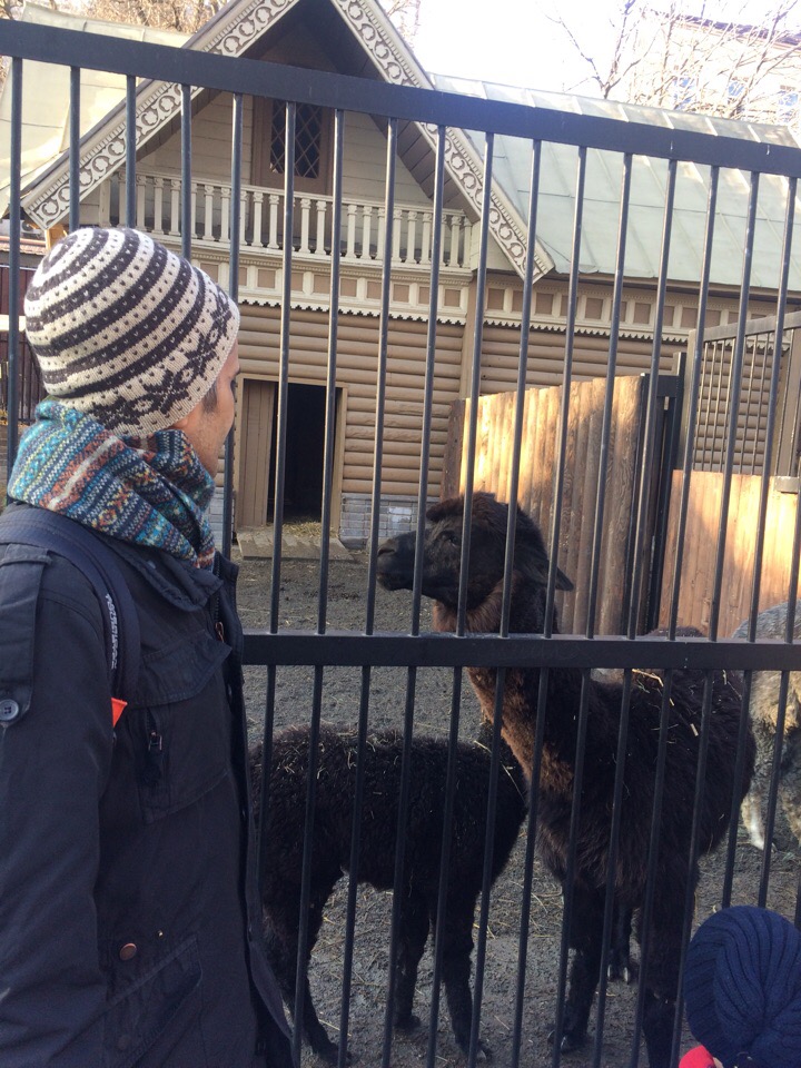 A Visit To Moscow Zoo