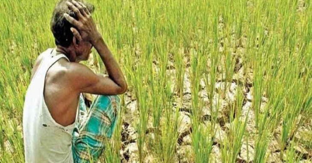 How Does Stubble Farming Affect Delhis Pollution