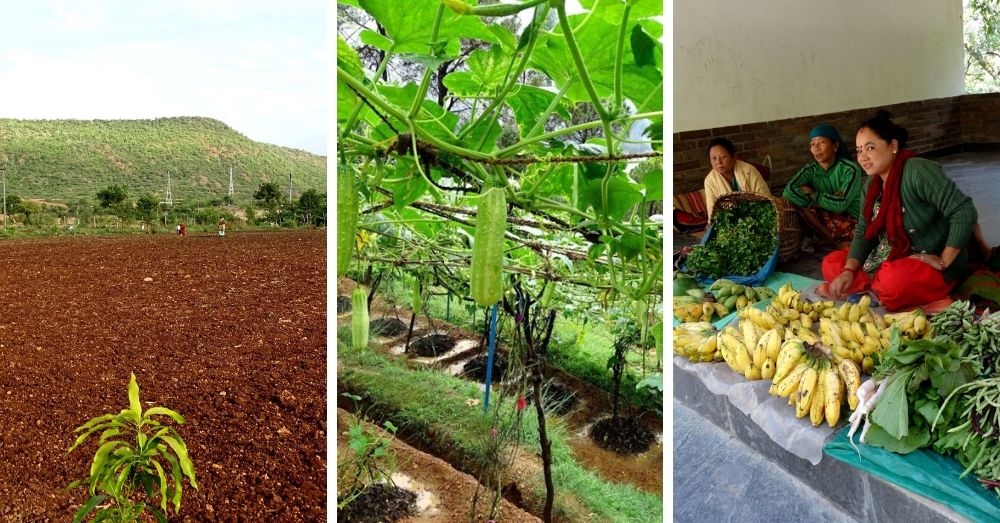 How Can Farmers In India Adopt Organic Farming Widely?