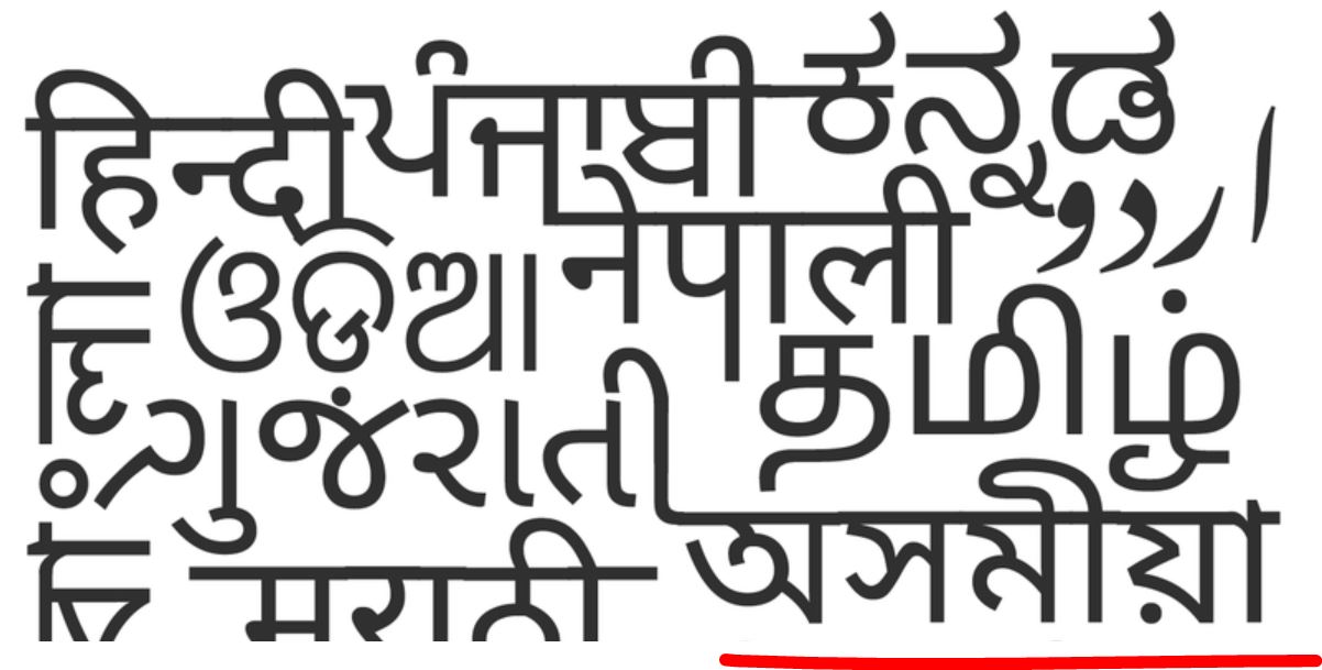 Assamese Made Compulsory In Assam | Youth Ki Awaaz