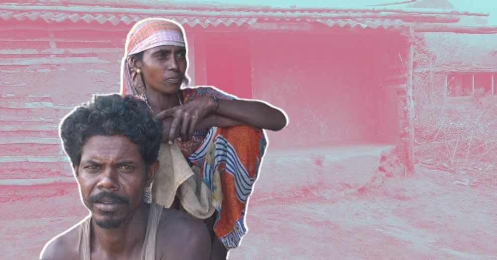 Why Paliyar Tribals Leave Their Homes During Termite Infestation?