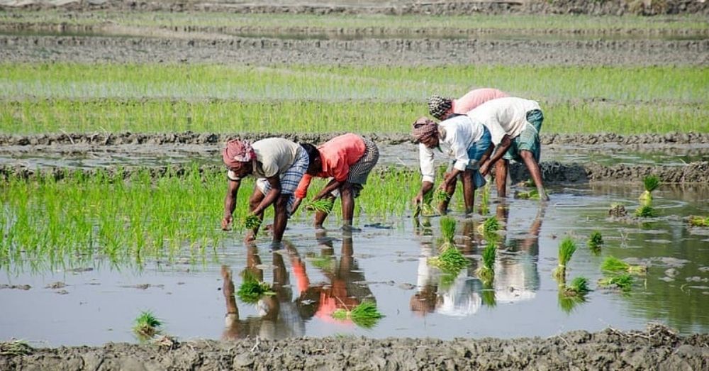 बिचौलियों के कारण कैसे कर्ज़ में डूब रहे हैं उत्तराखंड के किसान