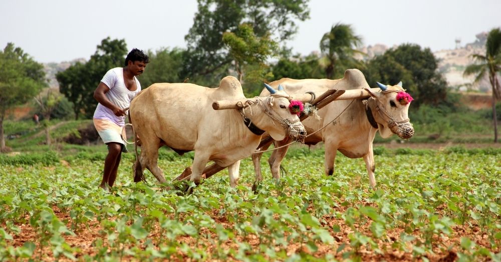 Struggles Of Farmers In Bihar | Youth Ki Awaaz