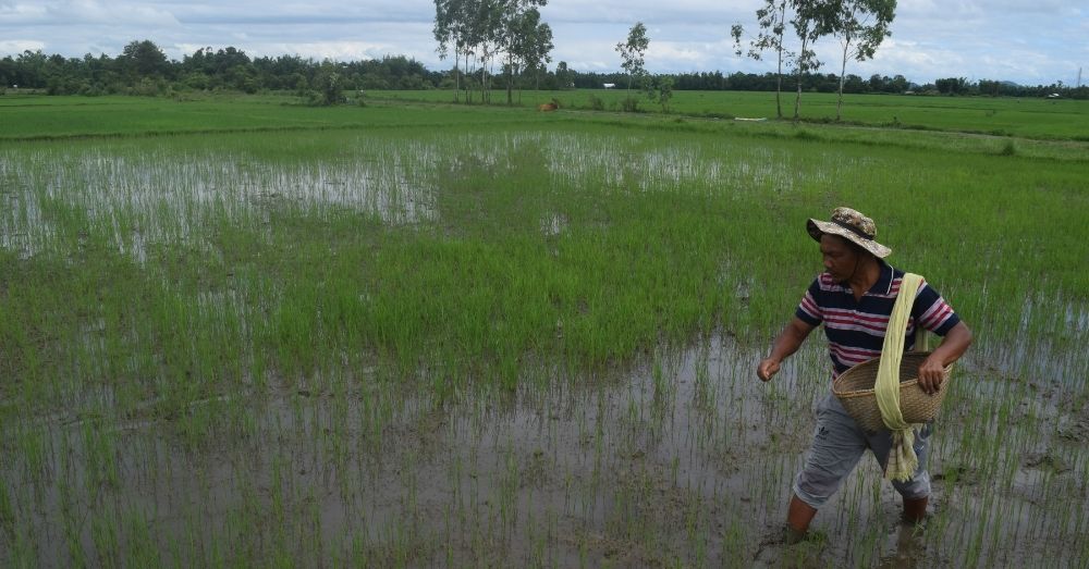 Farmers In Manipur Due To Climate Change, Monsoon