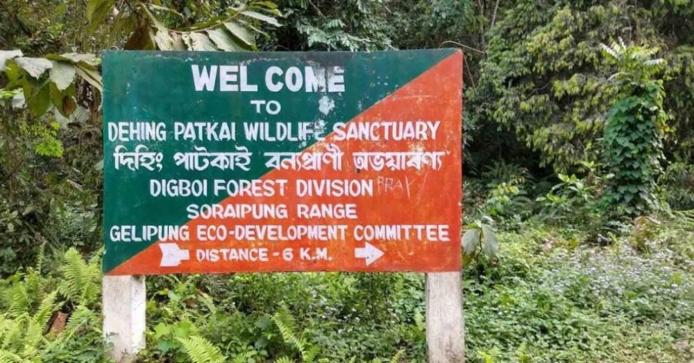 Understanding Ecosystem Services In The Amazon Of The East