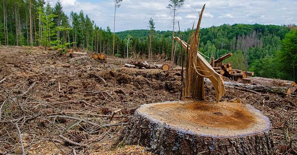 The Impact Humans Have Had On Biodiversity – Green Reporter