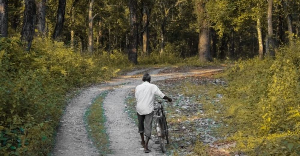 The Fight For Natural Resources And The Rights Of Nature