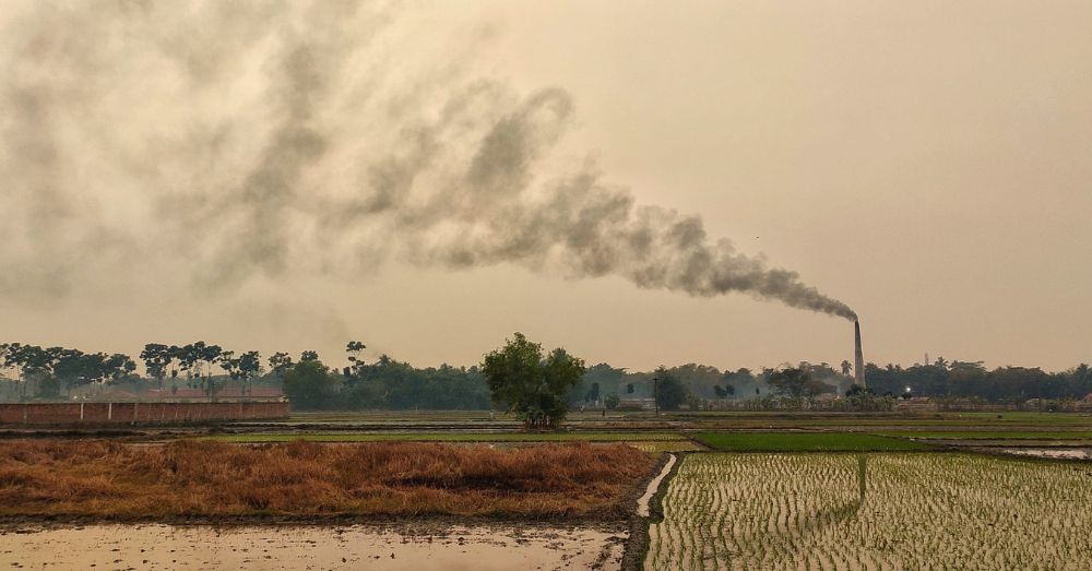 What Are The Offences And Punishments Under Air Pollution Laws? | Youth ...